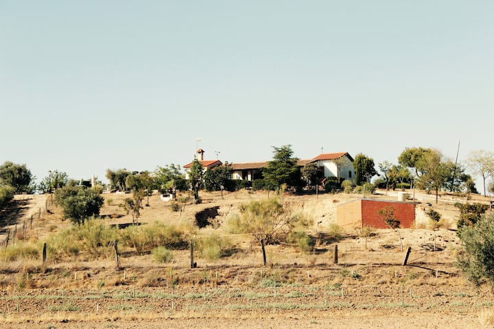 Casa Rural La Vega A 40 Minutos De Madrid - El Álamo