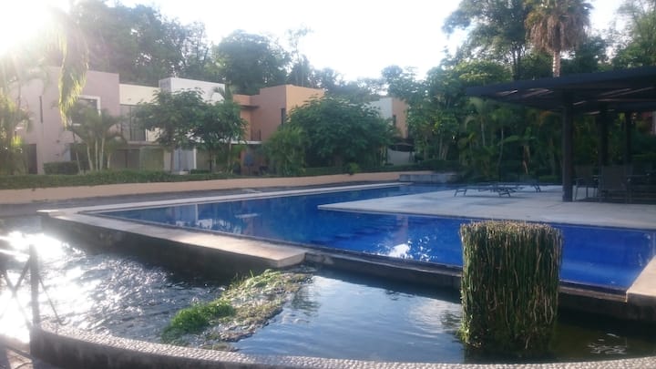 Hacienda De Cortés/exuberante Vegetación - Cuernavaca