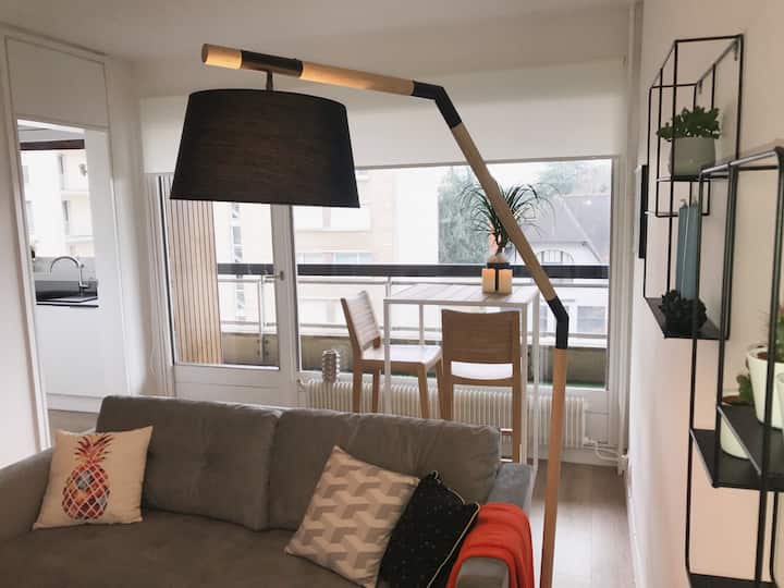 Joli Appartement Cosy à 10 Mn De Lille - Lille