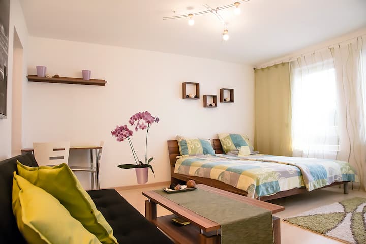 Silence Weil Am Rh. 5 Min To Basel - Bâle