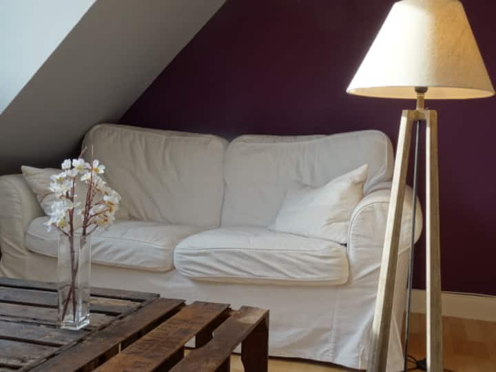 Mignon Duplex Dans Quartier Sympa - Strasbourg