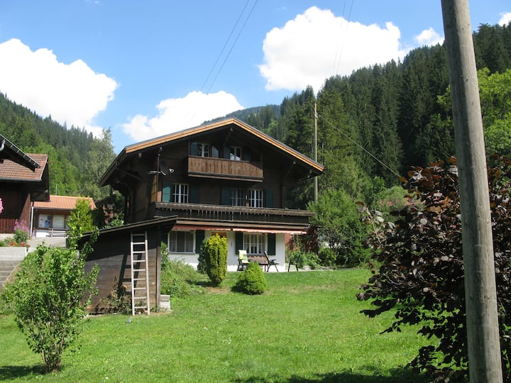 Vrijstaand Luxe Chalet In De Bergen - Gstaad