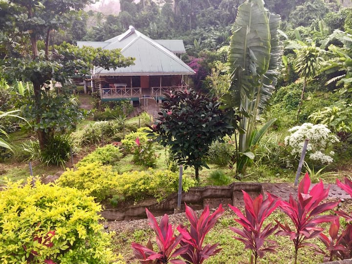 Pineapple Crossing Cottage - Dominica