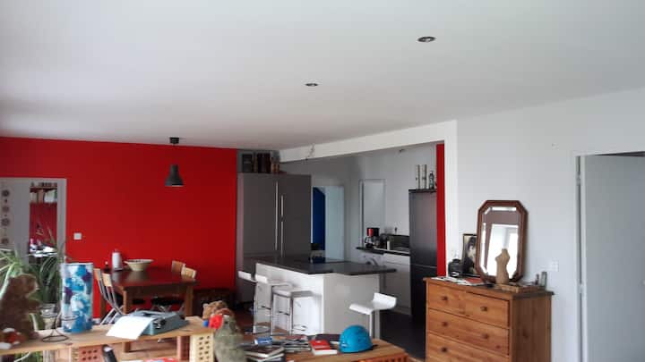 Chambre Dans Grand Appartement Atypique - Orléans