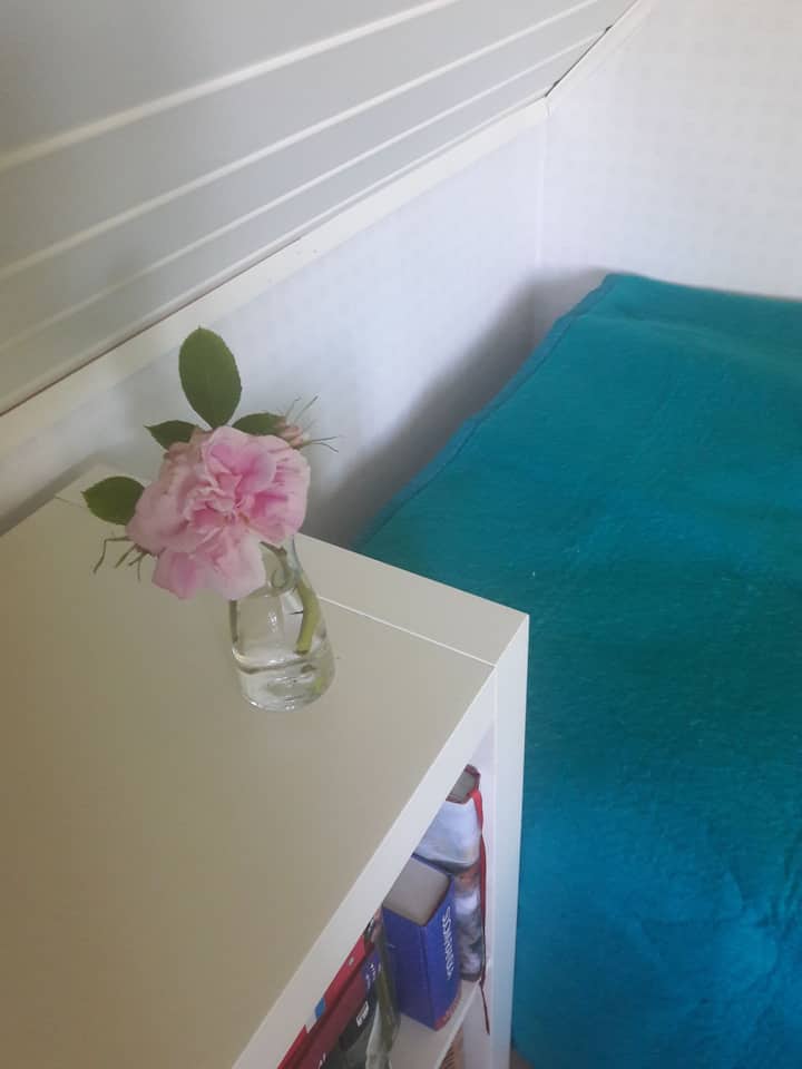 Home Stay In The Blue Room Chez Maman - Tampere