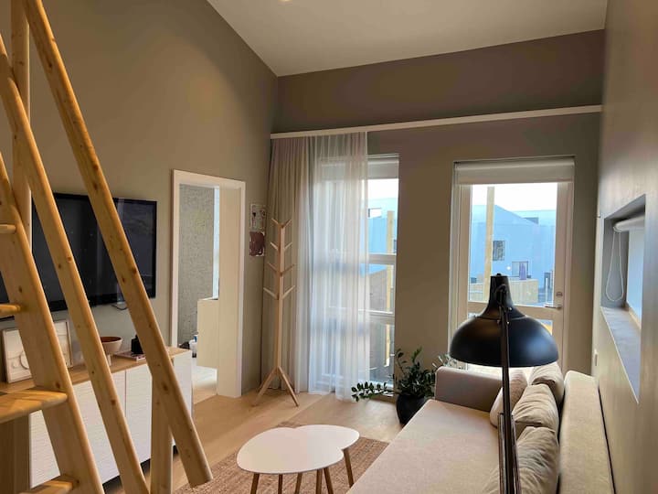 Cosy Apartment In Gardabaer - Iceland