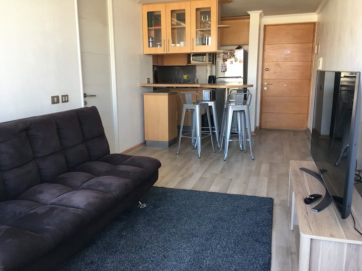 Moderno Apartamento En Providencia, Cerca De Todo - チリ プロビデンシア