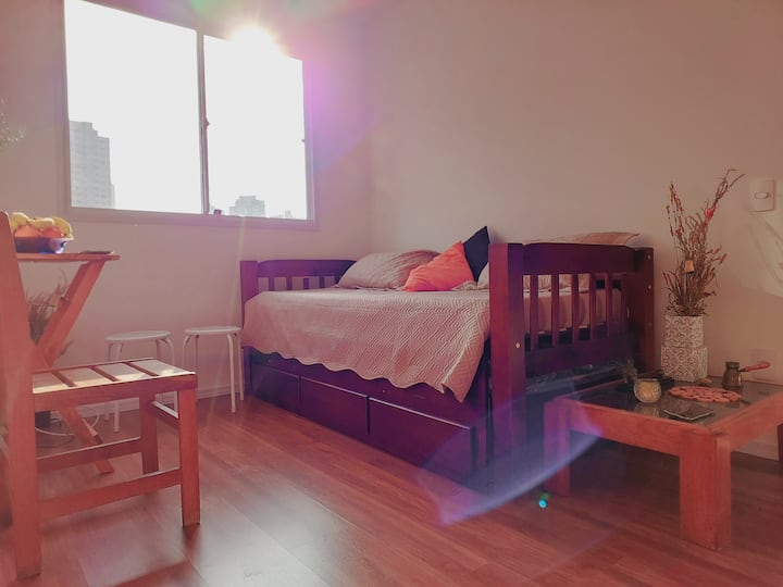 Liberdade & Cambuci A Downtown Cozy Apartment! - Liberdade