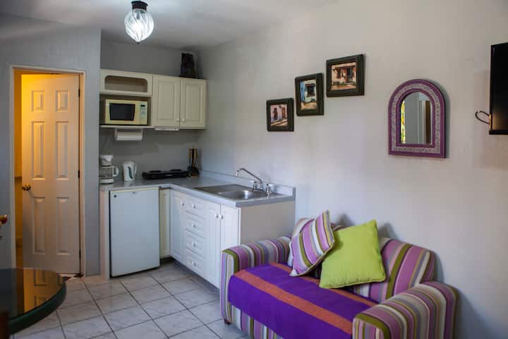 Relaxing Studio In The Heart Of Ajijic - Ajijic