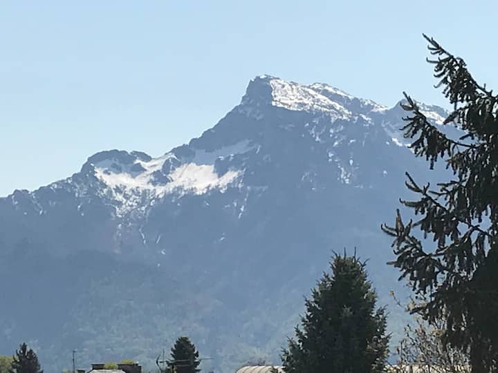 Above The Roof Tops: Repose And Nature - Salzburg