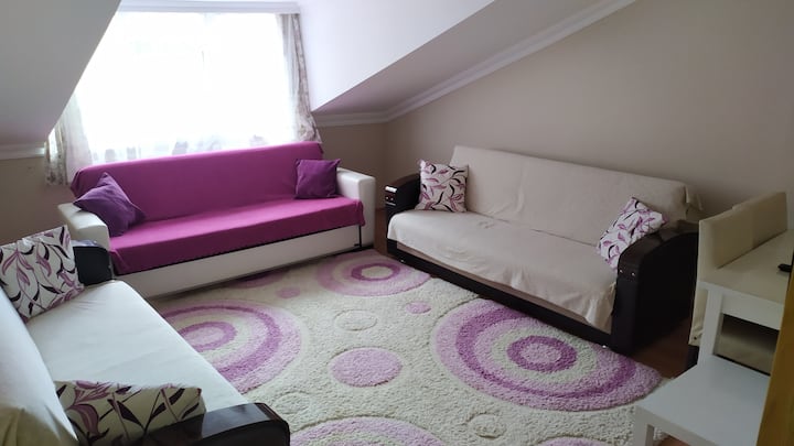 A Cosy Roof Flat: Whole Apartment - İstanbul