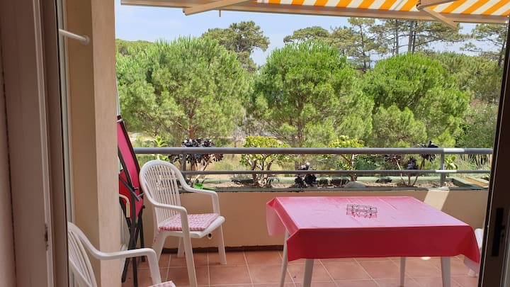 T2 Vue Mer Et Pinède - Calvi