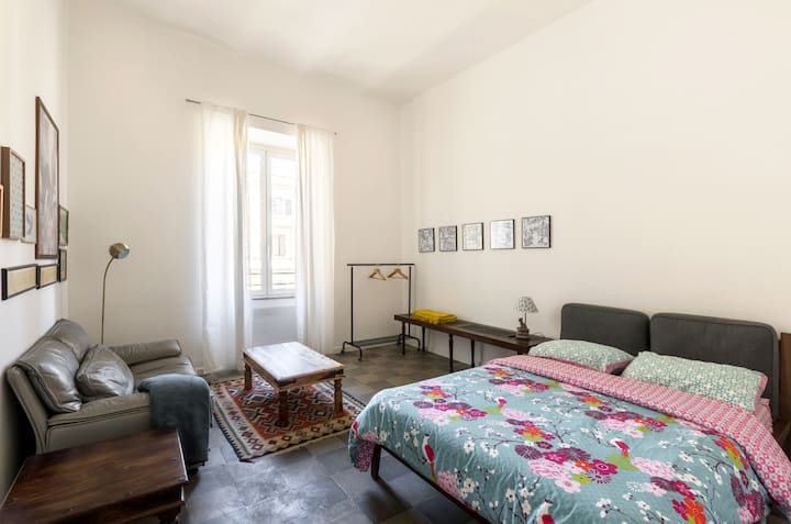 The Chihuahua - Roma