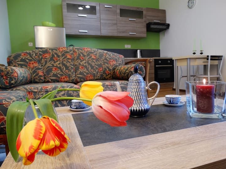 Bel Appartement Au Pied Du Chateau - Saumur