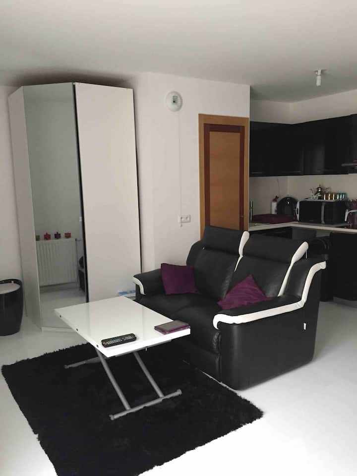 Beau Studio 30m2 à 10 Min De Cdg Et Astérix - Paris-Charles de Gaulle Airport (CDG)