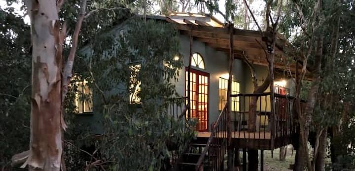 The Treehouse - Baardskeerdersbos