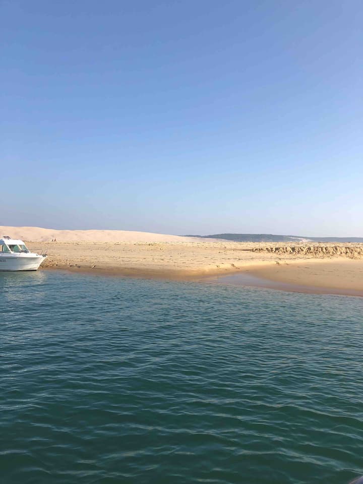 Au Centre Du Cap Ferret. - Lège-Cap-Ferret