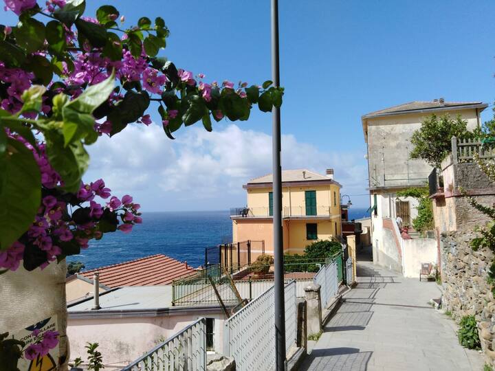 Domus Finis Terrae - Riomaggiore