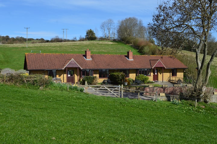Cosy Barn Cottage In Heavenly West Dorset - Dorset