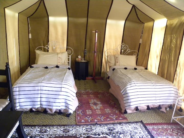 Zagora Luxury Camp - Zagora