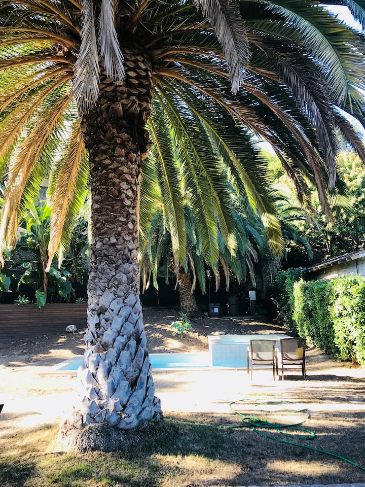 Paradise Studio, Hollywood Gated, Own Entrance. - Los Angeles, CA