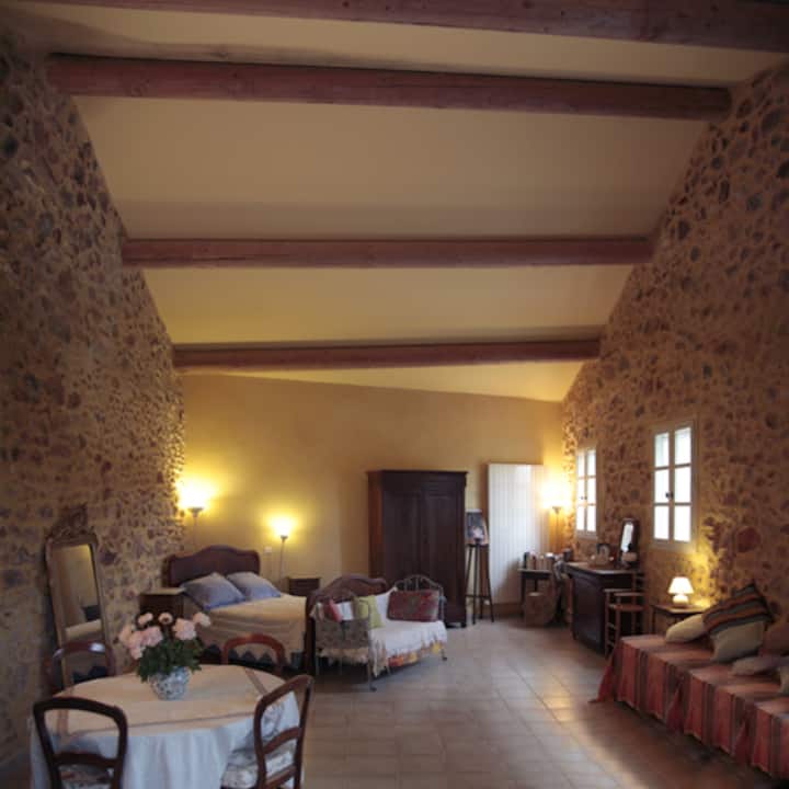 Ancienne Magnanerie à Roussillon En Provence - Roussillon