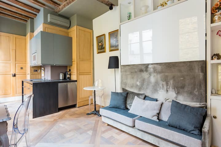 Walk To The Louvre From A Cozy Studio Flat - Quartier Saint-Germain-des-Prés