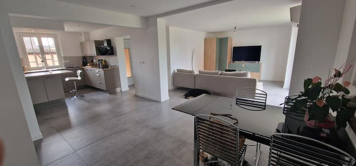 Appartement Convivial - Bischwiller