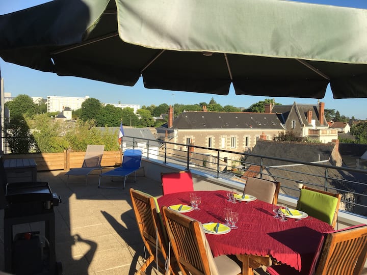 Appartement Standing Terrasse Et Spa - Tours