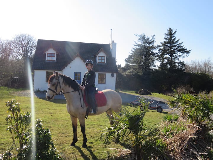 Letterfrack Farm Cottage In Village On Farm - Clifden