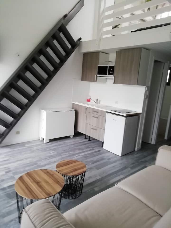 Duplex En Face Du Lac De Maubuisson - Carcans Plage