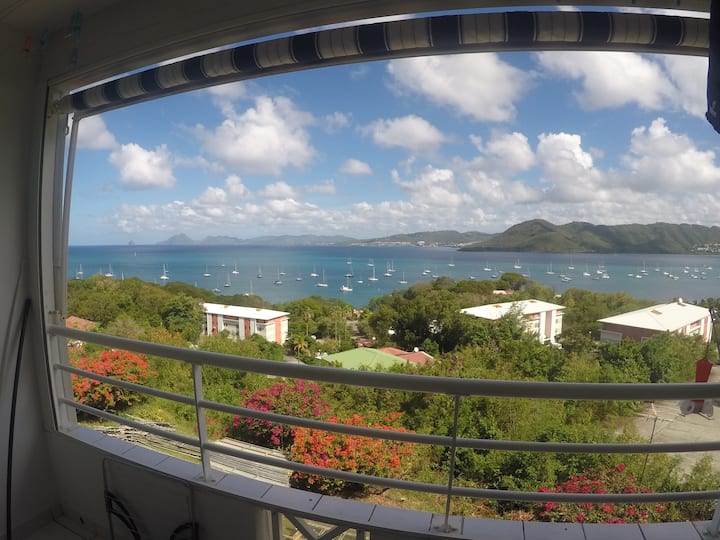 Grand T1 Avec Vue Panoramique, Piscine Et Wifi. - 마르티니크