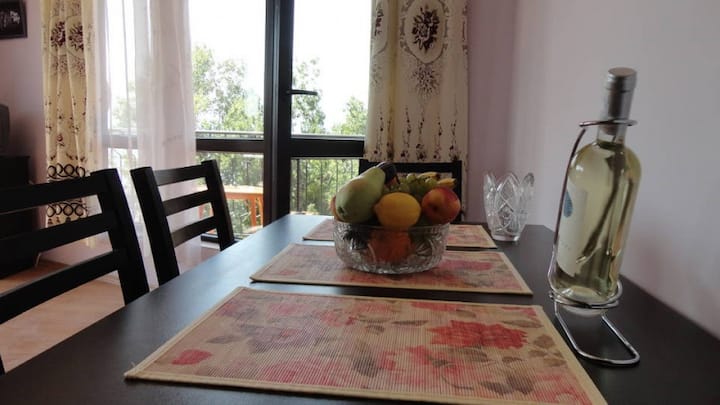 Luxury Apartment 50 Meters From The Sea And Center - Primorsko