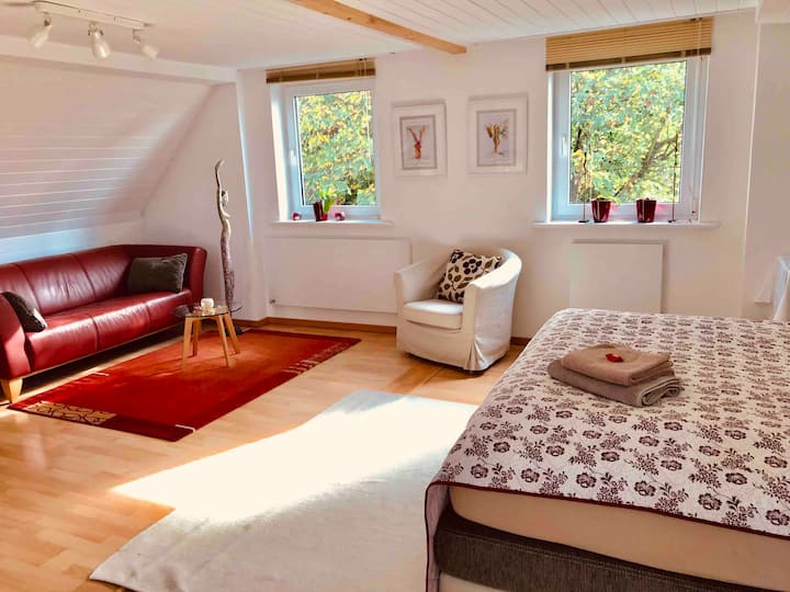 Gemütliche  Dachgeschoss- Wohnung - Schwetzingen