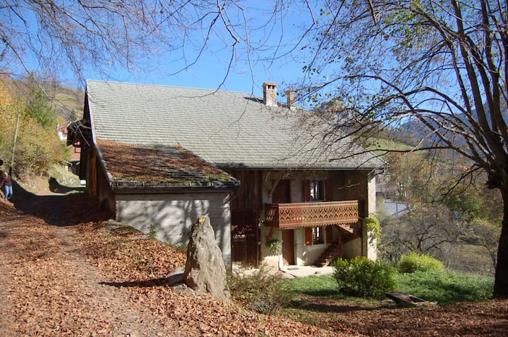 Grande Ferme Savoyarde , Maison De Famille - Thollon-les-Mémises