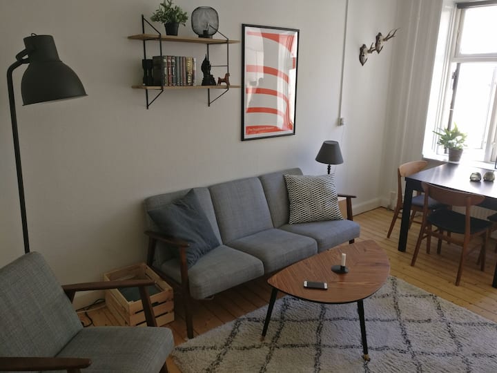 Bright Apartment In Nørrebro - Copenhague