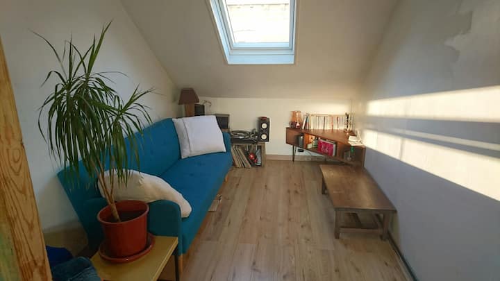 Charmant Appartement Wazemmes - Lille