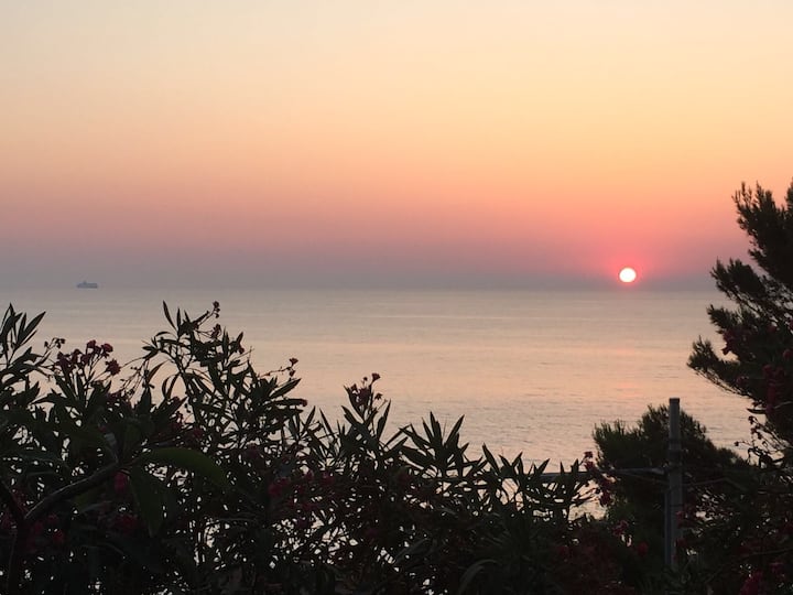 Addaura Vista Mozzafiato Villa Luciana - Palermo