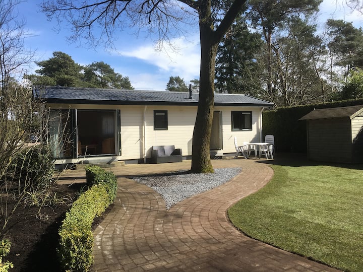 Get Out There Inthe Forests Of The Veluwe Otterlo - Ede