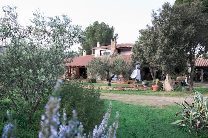 Grande Casa Di Campagna - Olbia