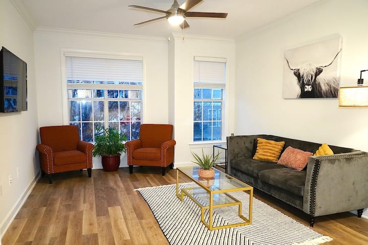 Boho Apt; Wi-fi, Free Parking,gym (Entire Apt) - Sandy Springs, GA