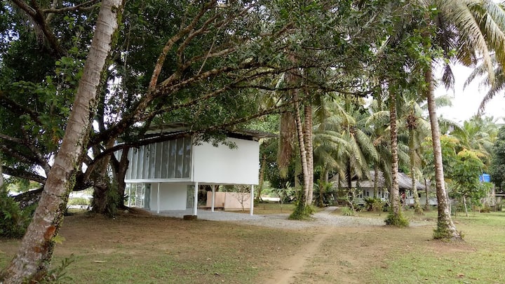 Siar Tranquil - Lundu