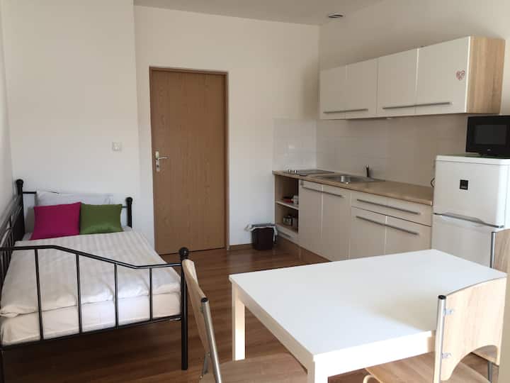 Homelike Apartment Center Teplice - Teplice