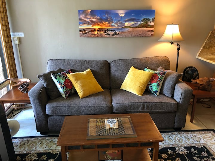 Kamaole Beach Condo Sale $150/n Jun-aug - Kihei, HI