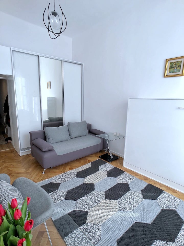 Excellent Both ; Location And Apartment 
Wifi - Varsovia