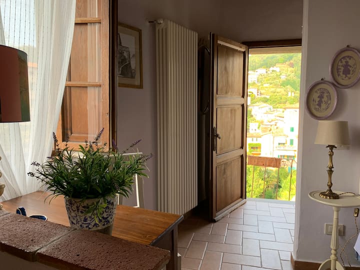 Il Nido
Centro Storico Di Barga Lucca 
Toscana - Toscane