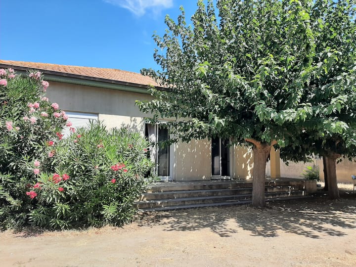 Villa Grain De Sable Les Pieds Dans L'eau - Valras-Plage