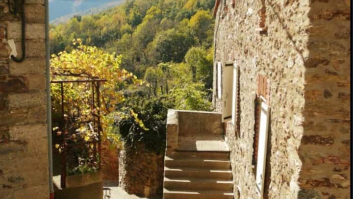 Mas With Pool In The Mountains, Canigo - Amélie-les-Bains-Palalda