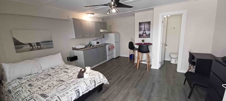 Superbe Studio Meublé Centre-ville Hull(54) - Gatineau