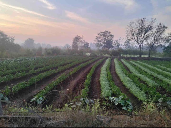 Farm House In Natures Womb - Vada